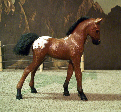 Welcome to Silver Wolf Ranch