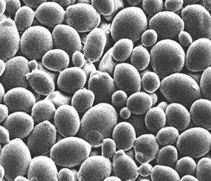 Achtergrondinformatie over GISTCELLEN