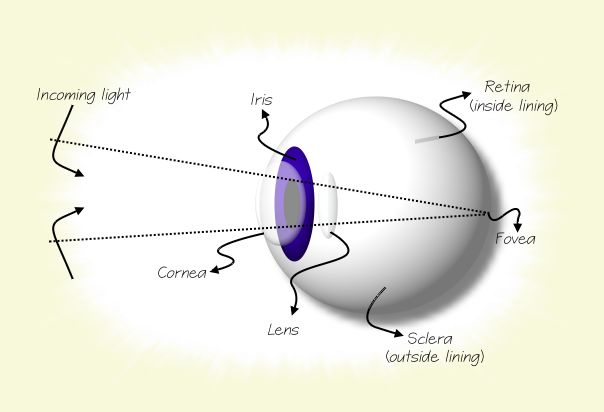 Simply Vision -- About