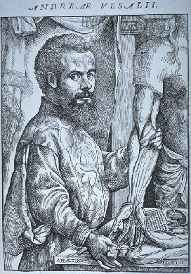 Part II: Vesalius and the Study of the Human Form
