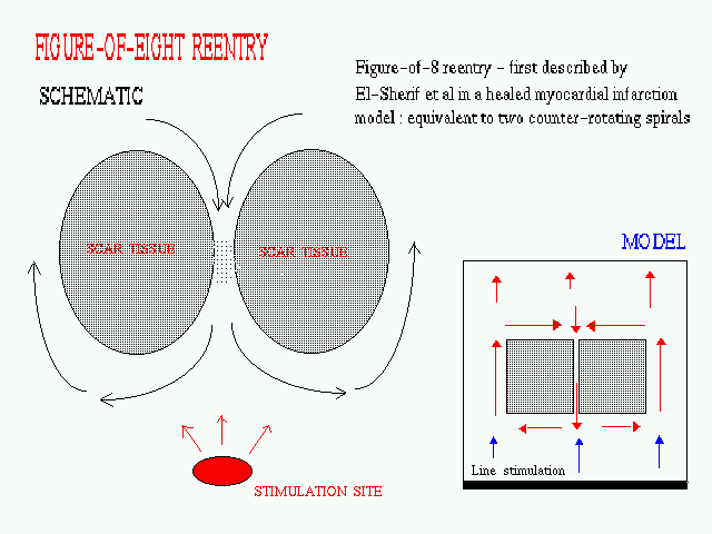 Spatiotemporal Dynamics of Reentry Termination by Pacing