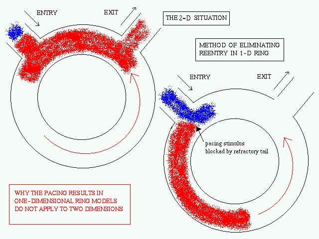 Spatiotemporal Dynamics of Reentry Termination by Pacing