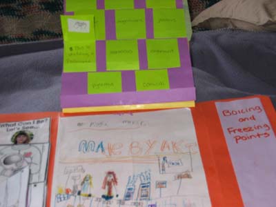 Another Celebrated Dancing Bear Lapbook