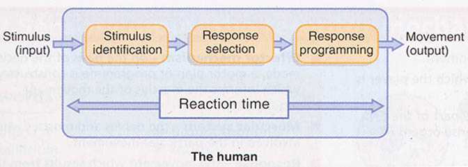 Information Processing Model Explained PDF) A New Model Of Information