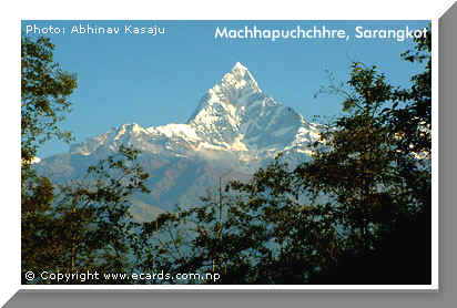 Welcome To The Sushil's Webpage with lots of Fun