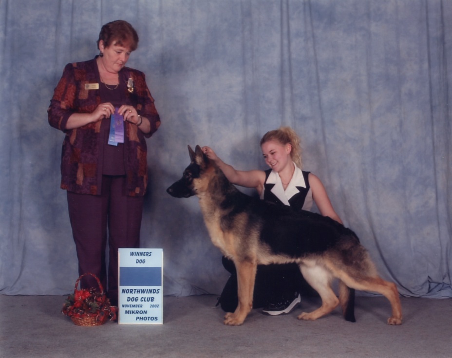 Dog Handling, Dog Show Handler in Saskatoon, Saskatchewan Canada