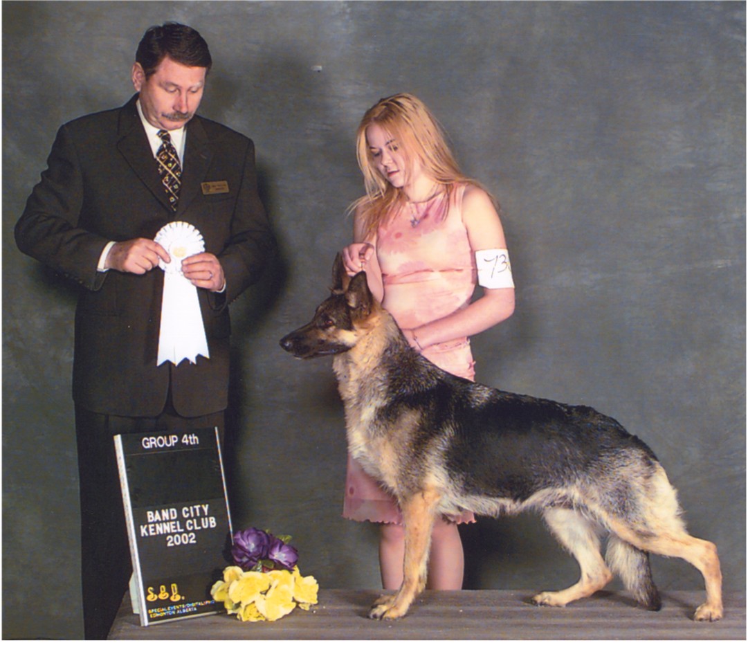 Dog Handling, Dog Show Handler in Saskatoon, Saskatchewan Canada