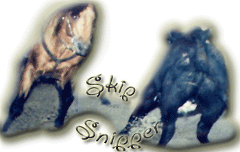 index [www.geocities.ws]