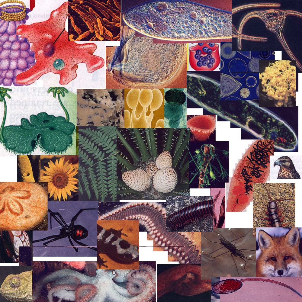 Hosted by www.Geocities.ws