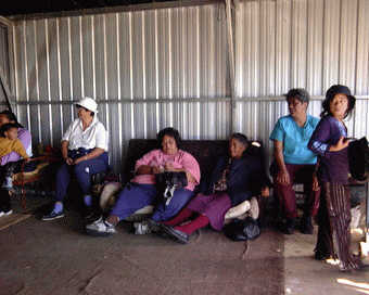 okarea marae aotearoa