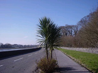 Ireland - Day Four - Dingle to Doolin