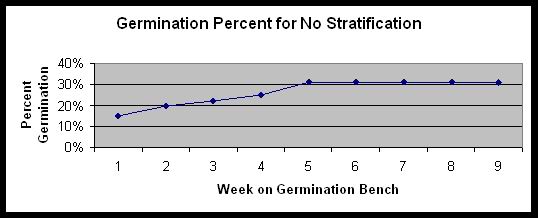 Opium Poppy Stratification