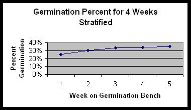 Opium Poppy Stratification