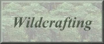 Herblore - Wildcrafting