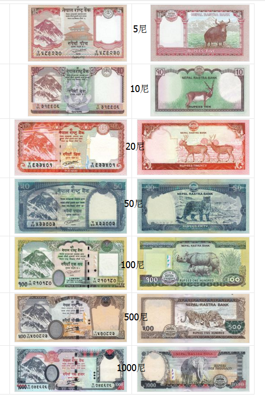 Nepali Money - Nepali Rupees