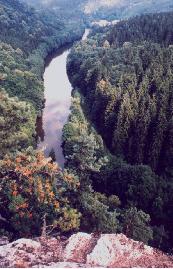 Raabs Unit: Evidences for the presence of a volcanic arc.......