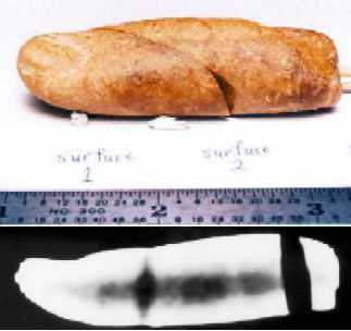 Man over million years