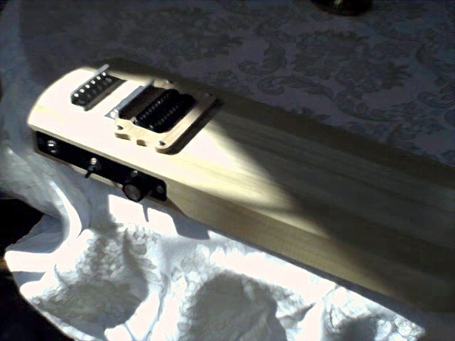 Bradley Lap Steel