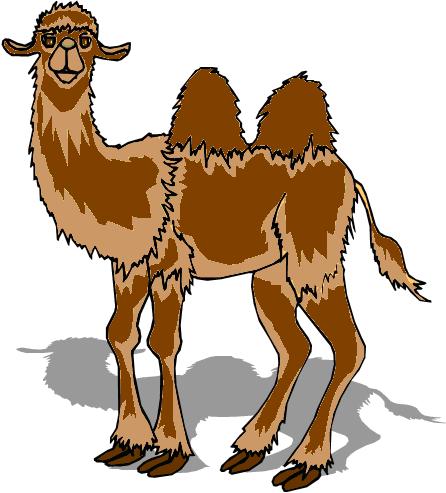 Index of /the_green_camel