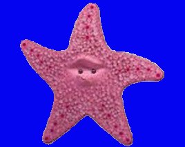 Starfish (Peach)