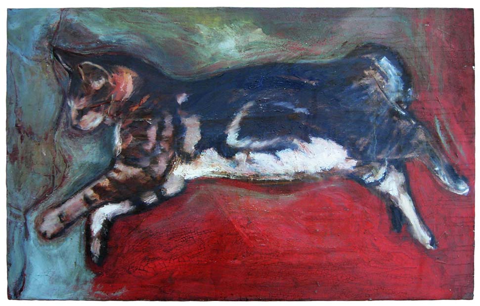 Anthony Marella Portfolio