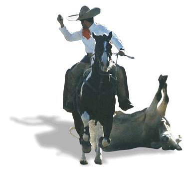 Charrería El deporte mas mexicano Historia