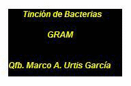 Tinción GRAM