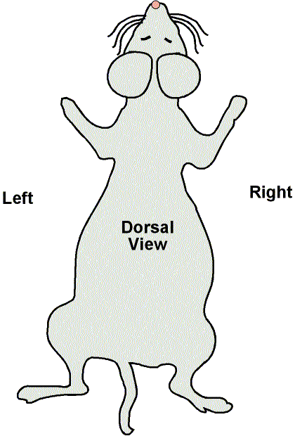 Untitled Document [www.geocities.ws]