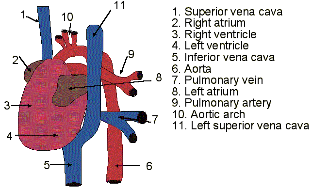 Untitled Document [www.geocities.ws]