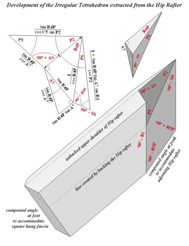 Development of Polyhedra extracted from the Peak of the Hip Rafter