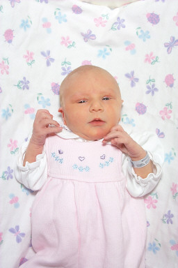 index2 [www.geocities.ws]