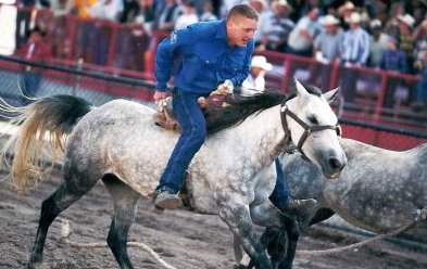 Wild Horse Racing and Rodeos
