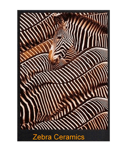 The Zebra Ceramics